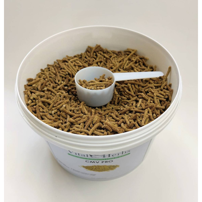 CMV PRO équin par Vital'Herbs