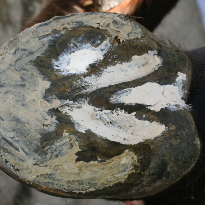 Hoof-Stuff 290g par Red Horse