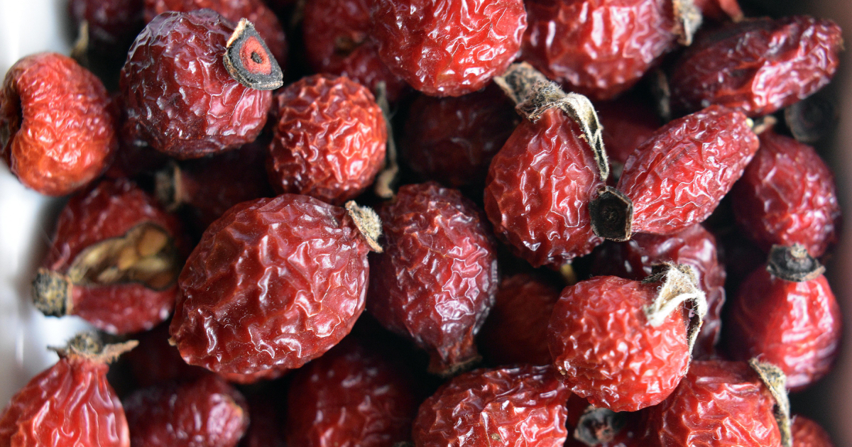 Baies de Cynorrhodon entières séchées pour chevaux